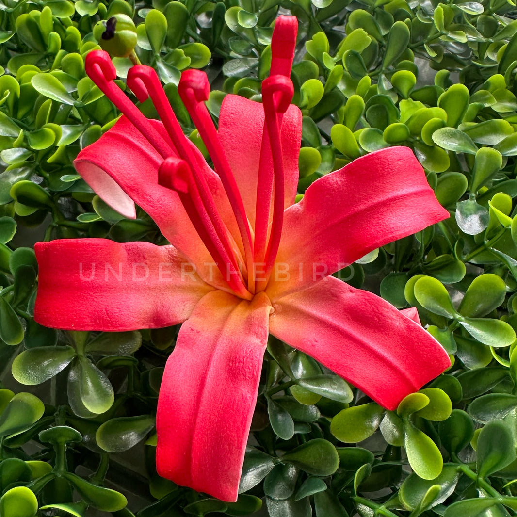 Samoan Flower Sei | Foam Flowers | Underthebird – Under The Bird