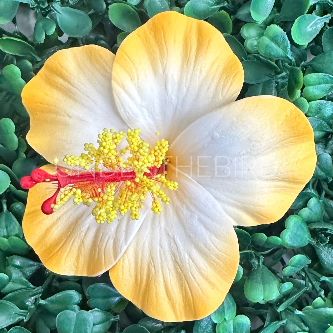 Samoan Flower Sei | Foam Flowers | Underthebird – Under The Bird