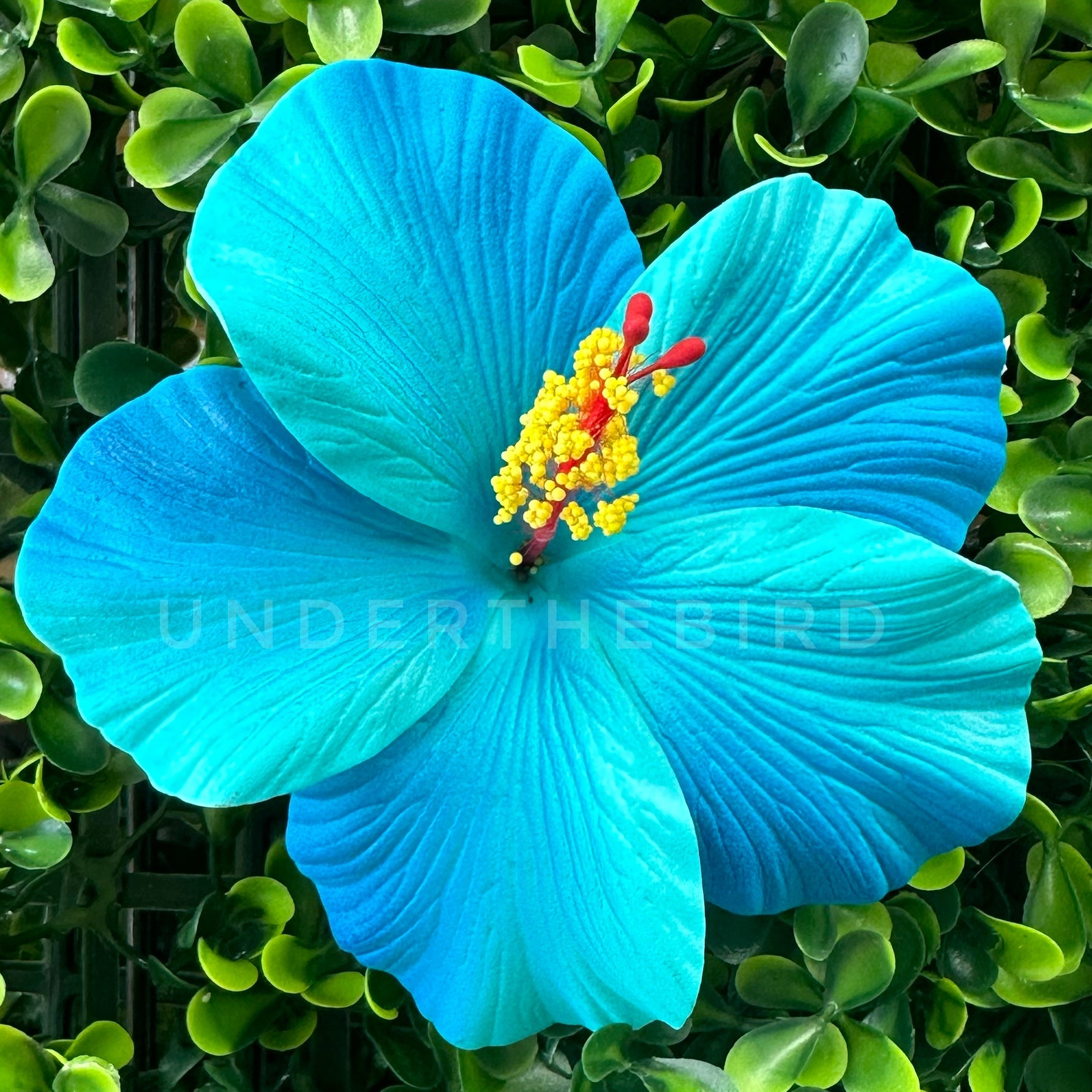 Samoan Flower Sei | Foam Flowers | Underthebird – Under The Bird