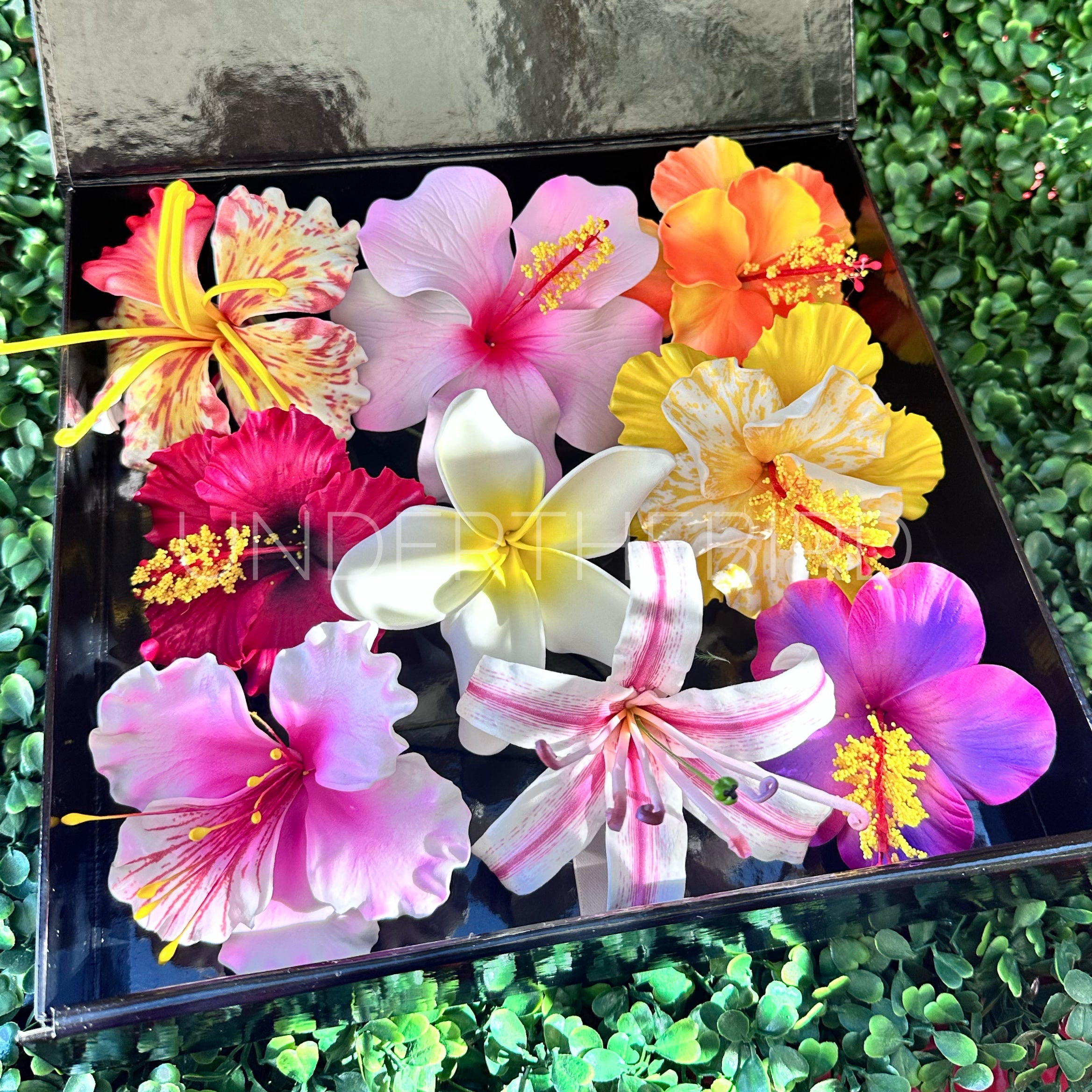 Sei Bundle Giftset – Under The Bird