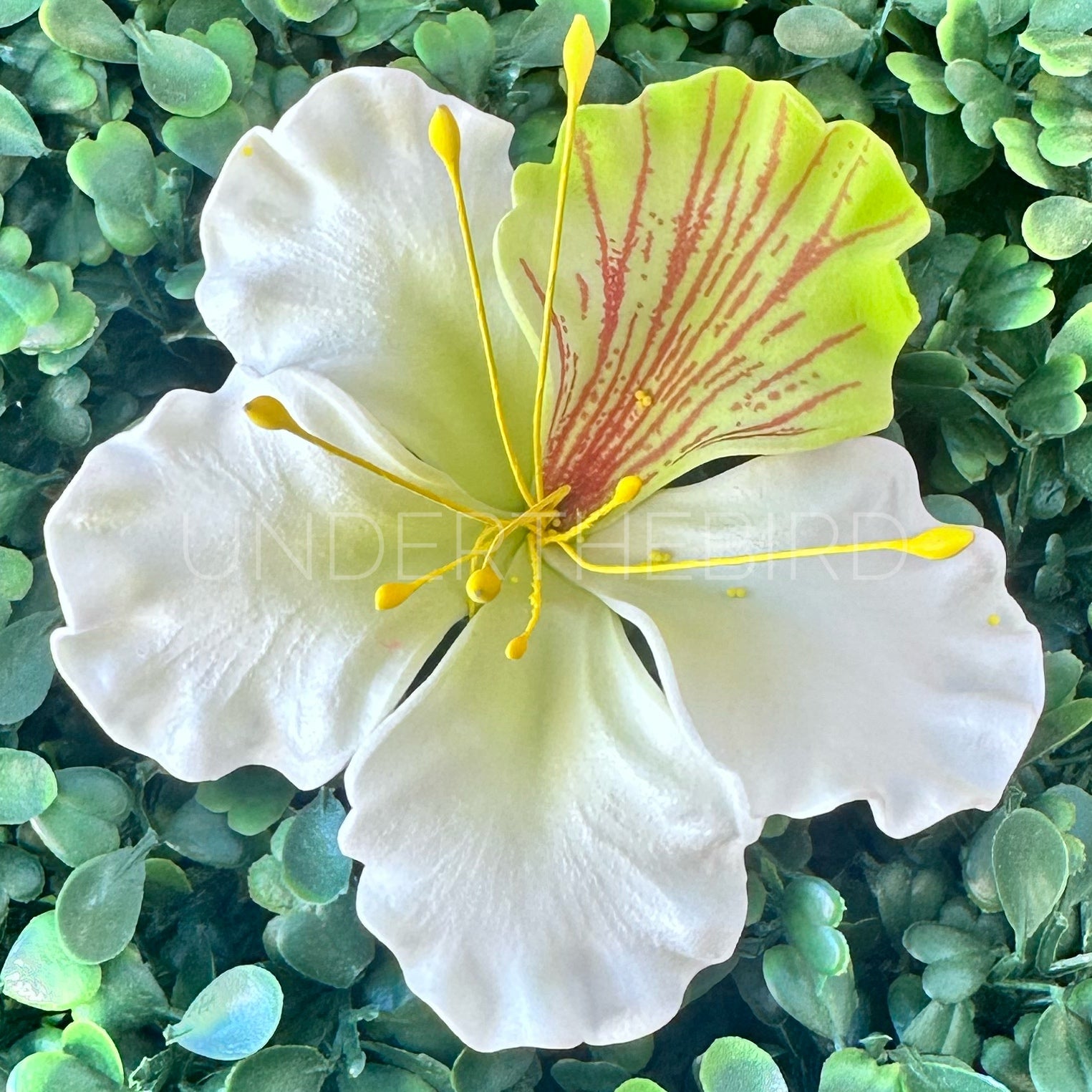 Samoan Flower Sei | Foam Flowers | Underthebird – Under The Bird