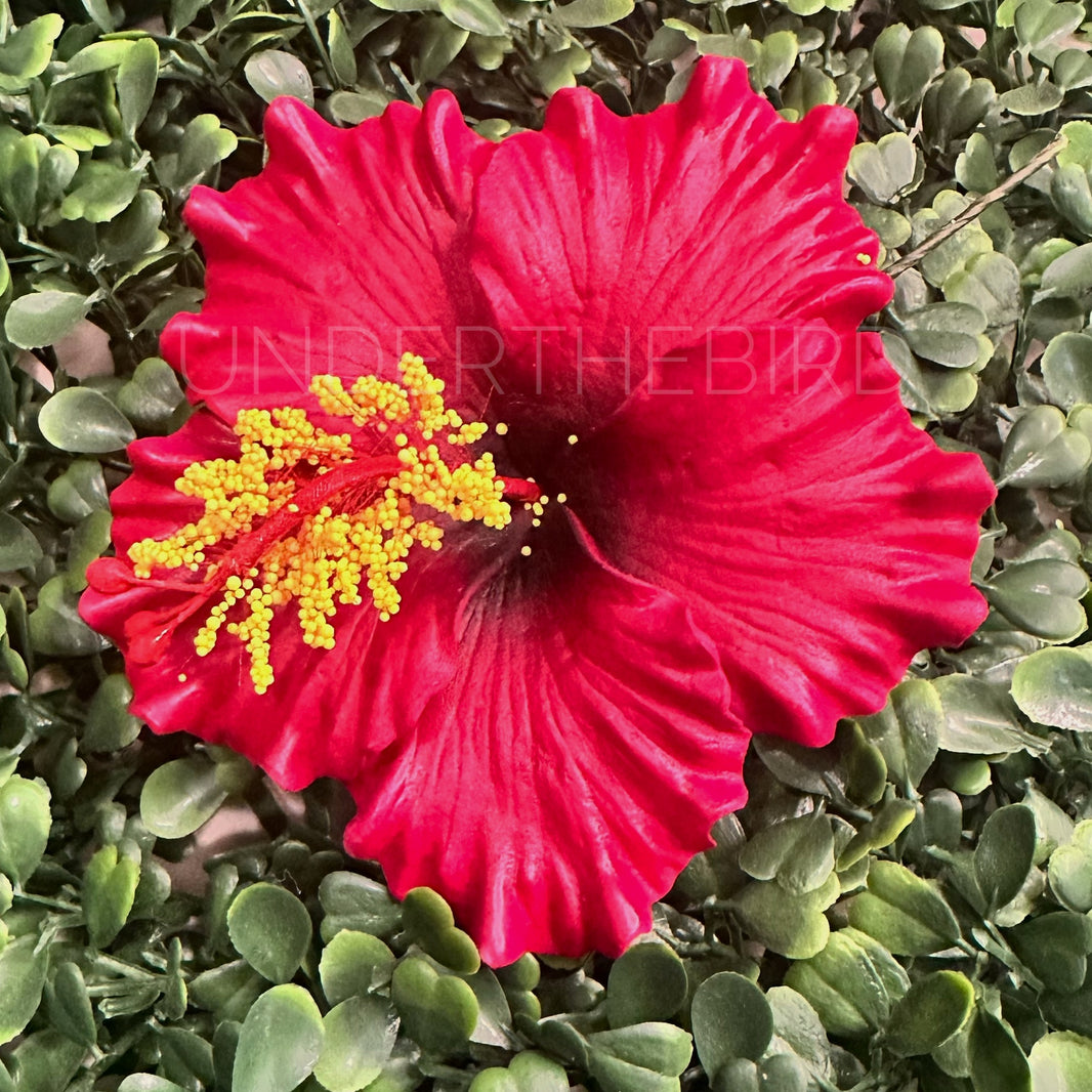 Samoan Flower Sei | Foam Flowers | Underthebird – Under The Bird