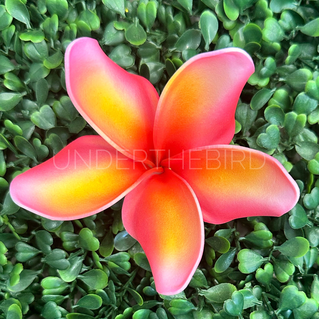Samoan Flower Sei | Foam Flowers | Underthebird – Under The Bird