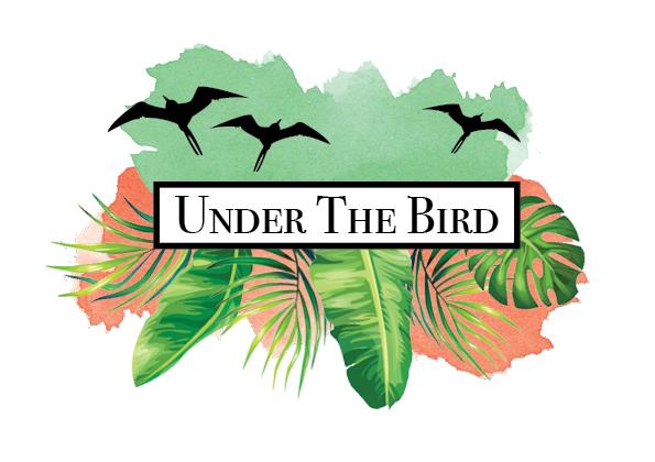 Samoan Necklaces | Ulafala Gifts | Underthebird – Under The Bird